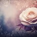 Elegant Funeral Backgrounds: Floral Memorial Card Designs (digital ...