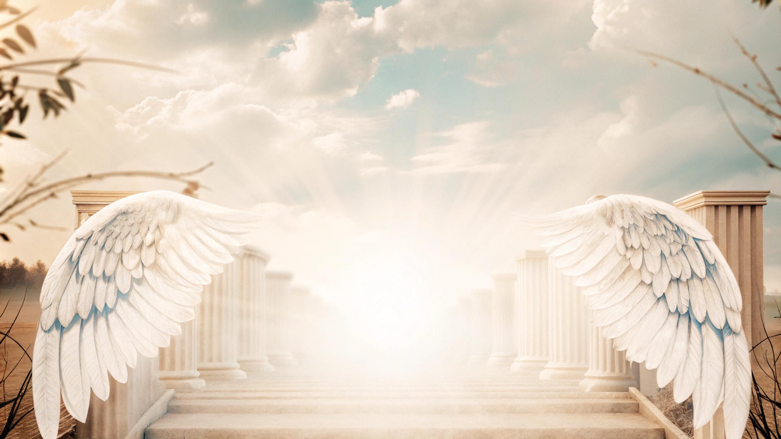 Dove PNG | 5 Blue Memorial Background Bundel | Sublimation Design ...