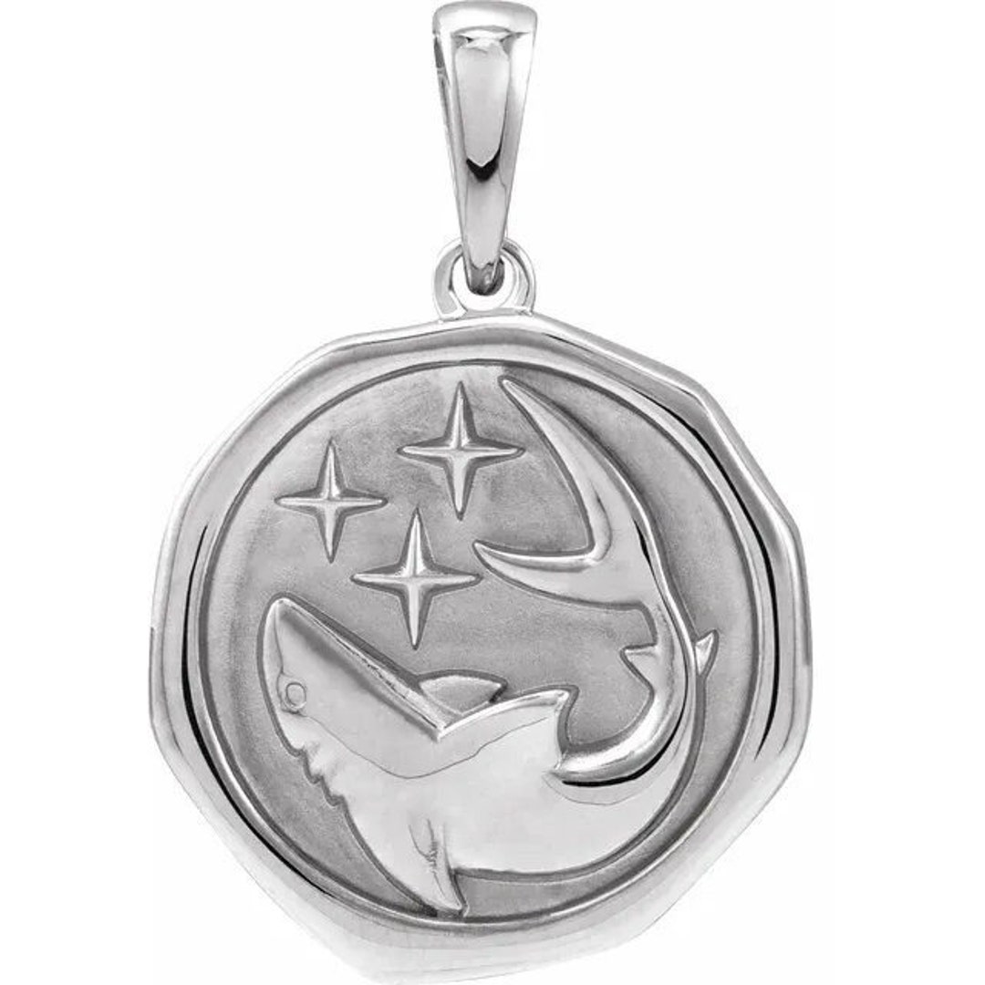 Sterling Silver Shark Spirit Animal Medallion Pendant Necklace - Etsy