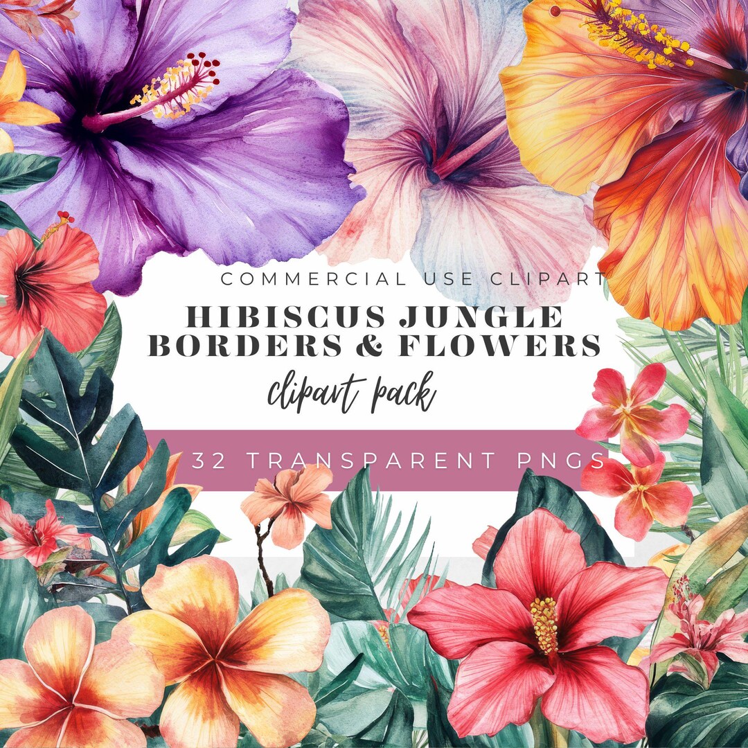 Watercolor Hibiscus Flower Clipart, Tropical Jungle Borders (PNG ...