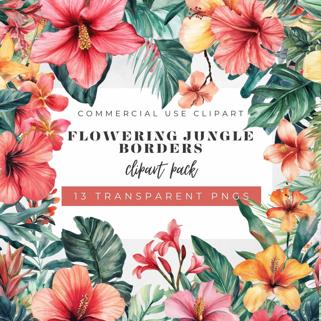 Tropical Flower Borders, Jungle Leaves PNG Clipart (digital Download ...