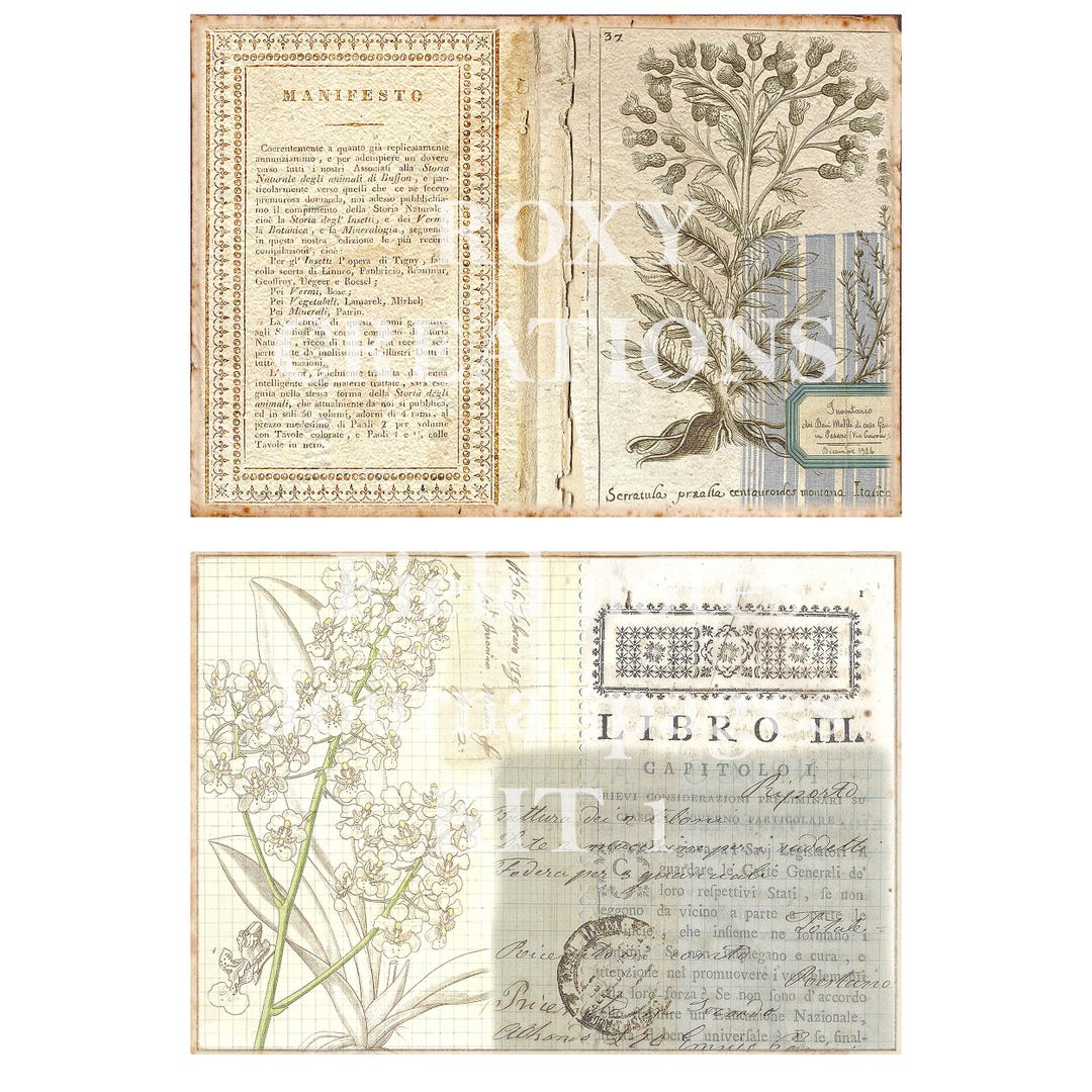 Printable Field Notes Journal Pages Kit 1 - Etsy
