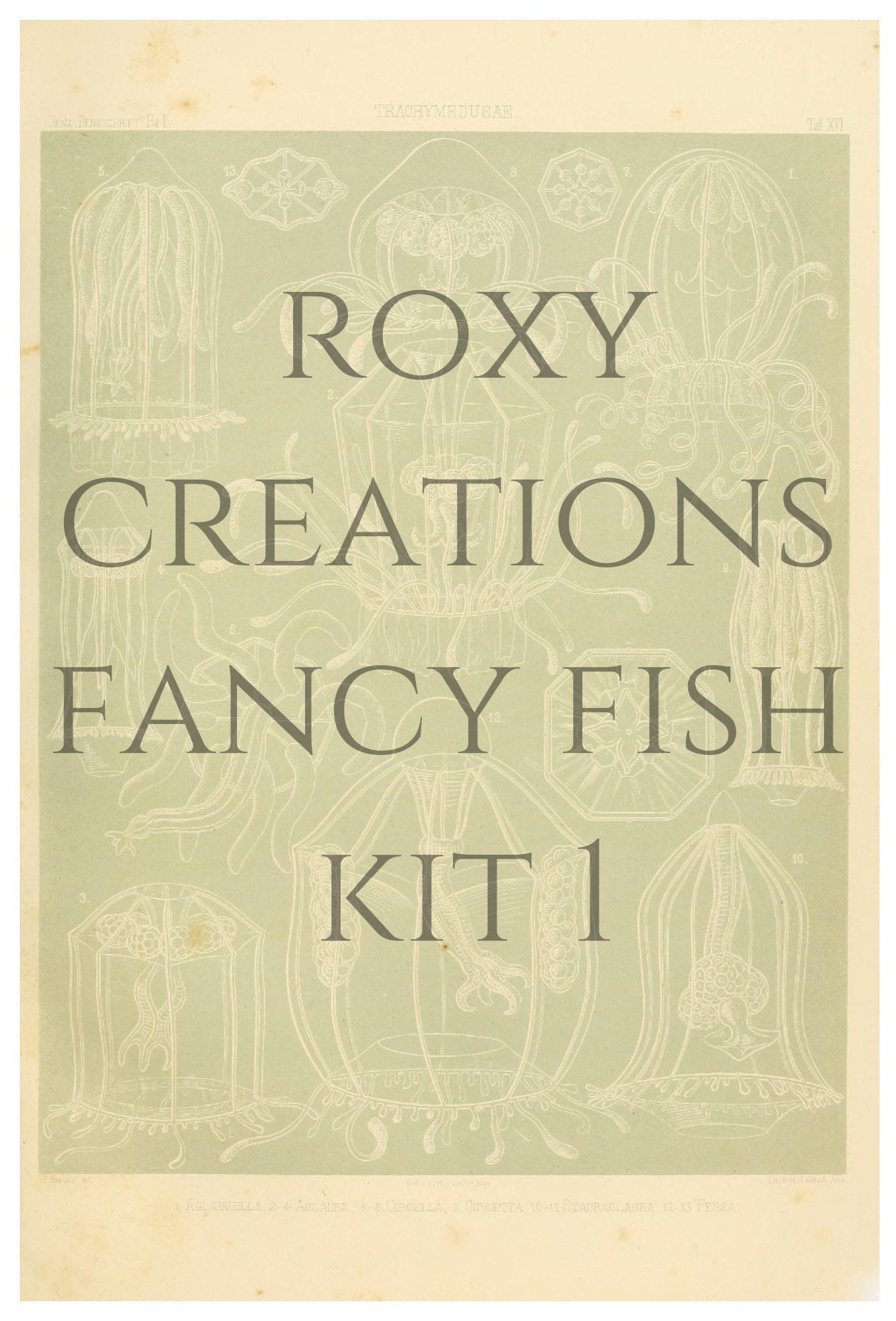 Printable Fancy Fish Kit 1 - Etsy