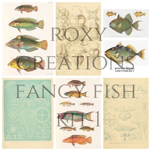 Printable Fancy Fish Kit 1 - Etsy