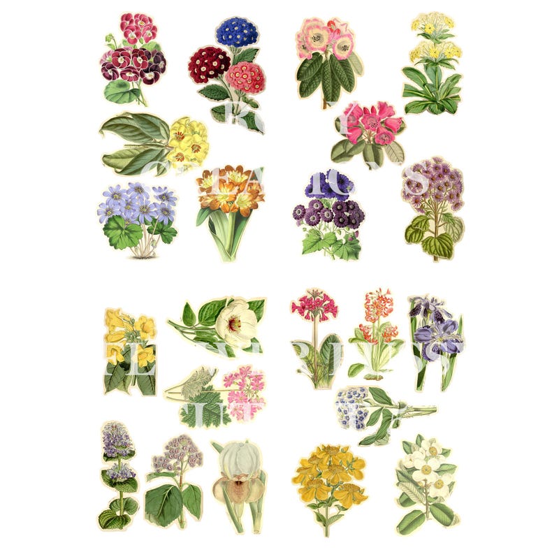 Flower Digital Fussy Cuts - Etsy