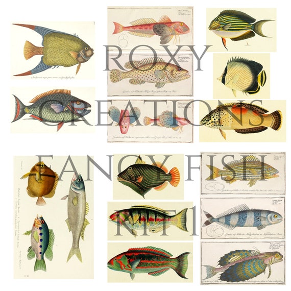 Printable Fancy Fish Kit 1 | Etsy