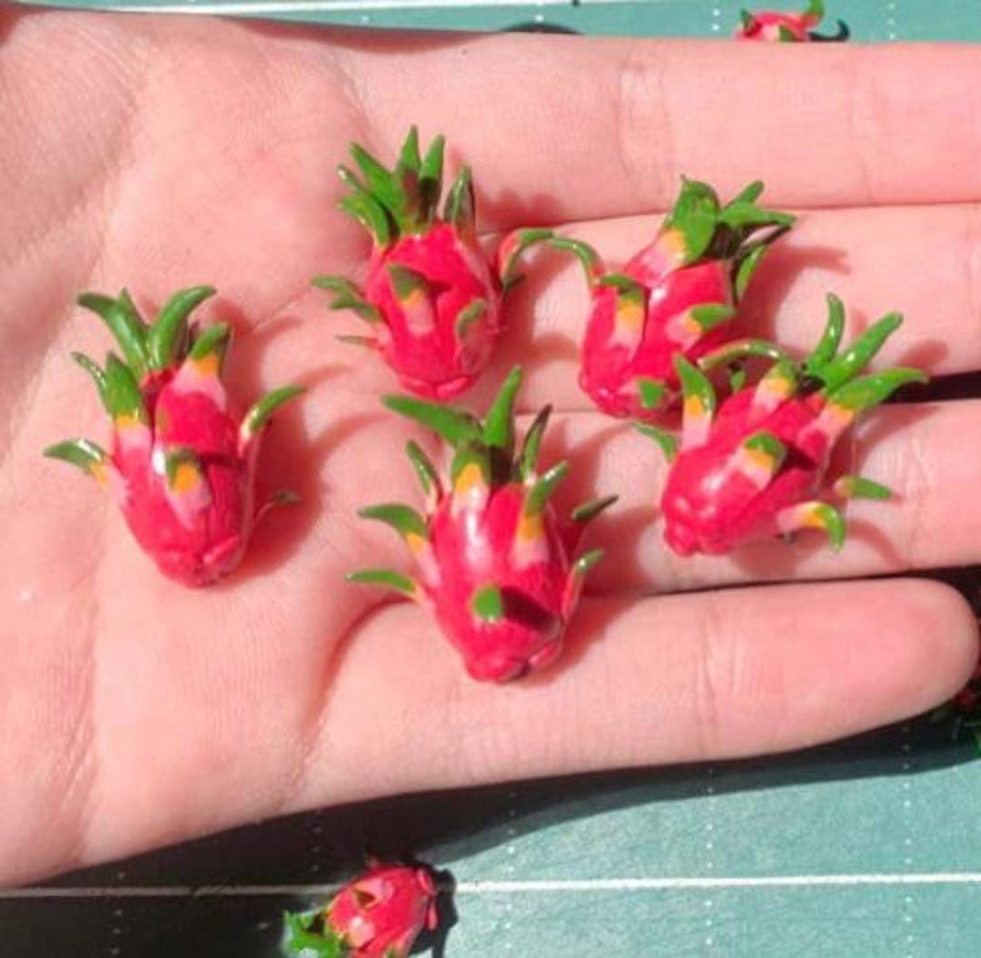 Miniatures Dragon Fruit, Mini Food Model for Dolls, Mini Bake,miniature ...