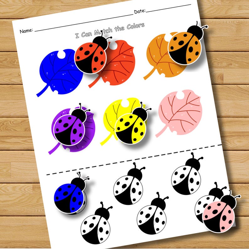 Color Matching Activity for Kids, Toddler Color Printable, Montessori ...