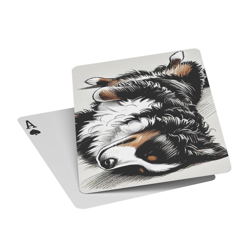 Berner Birthday Cards - Etsy
