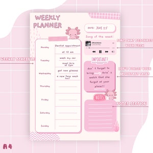 Kawaii Printable Planner, Daily Hourly Planner, Monthly Calendar ...