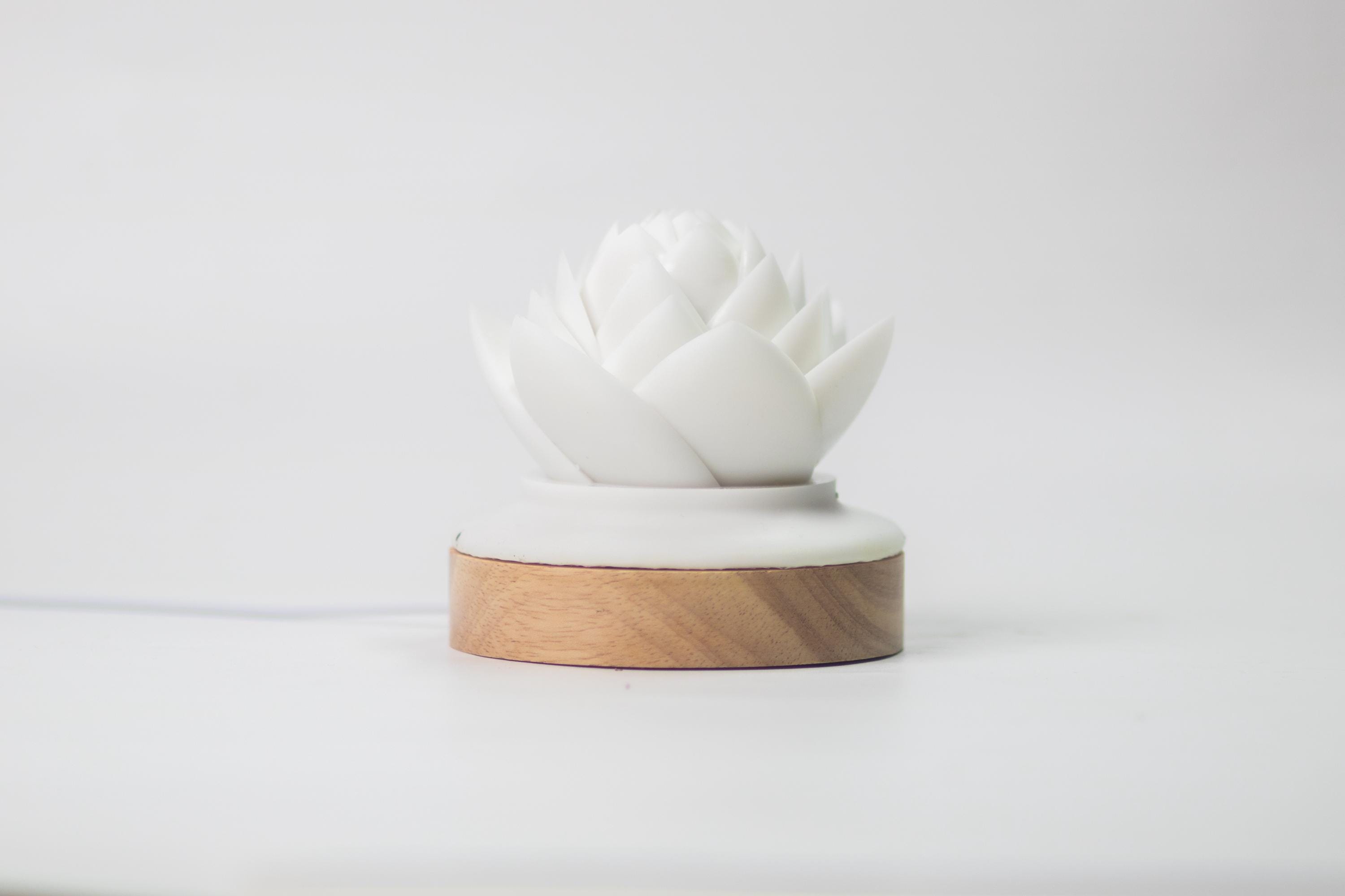 3D Printed Lotus LED Night Light: Personalized Flower Table Lamp - Etsy