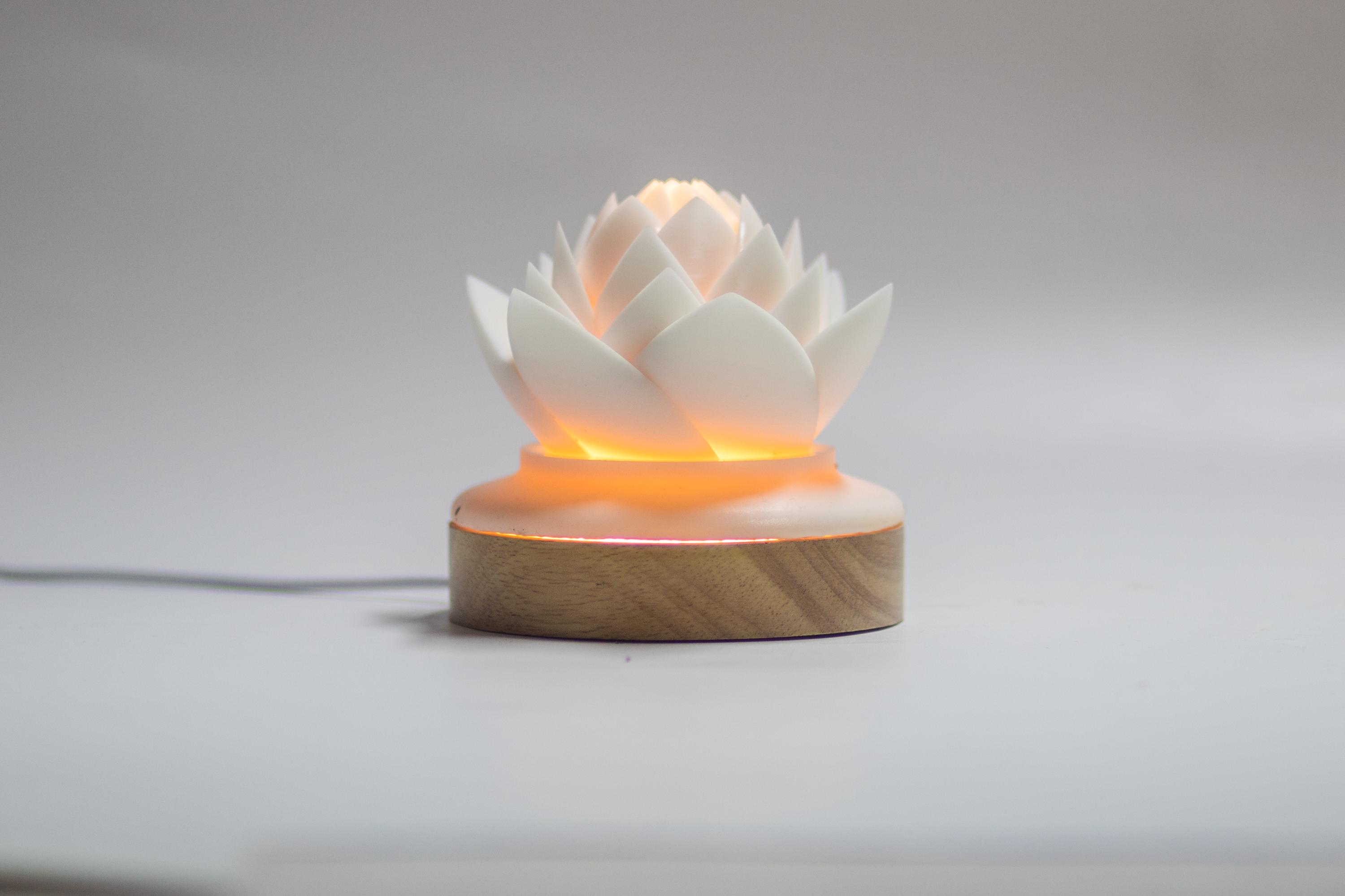 3D Printed Lotus LED Night Light: Personalized Flower Table Lamp - Etsy