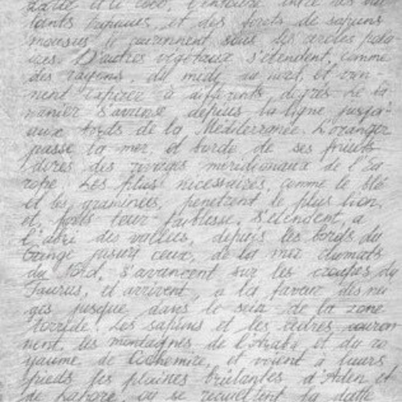 French Script Paper - Etsy