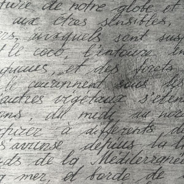 French Script Paper - Etsy