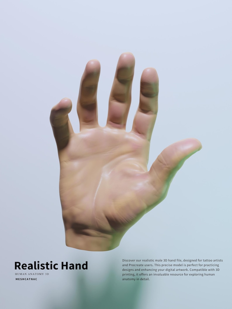 Realistic 3D Procreate Hand / Procreate Model / Male 3D / Human Anatomy ...
