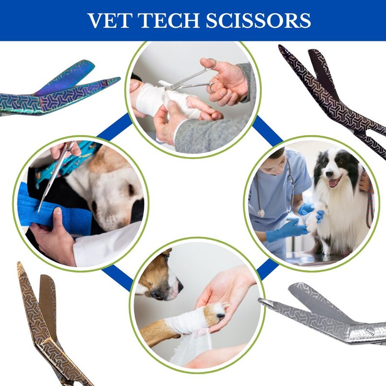 Engraved Nurse Scissors Set of 30 Pcs Vet Tech Stainless Steel Bulk ...