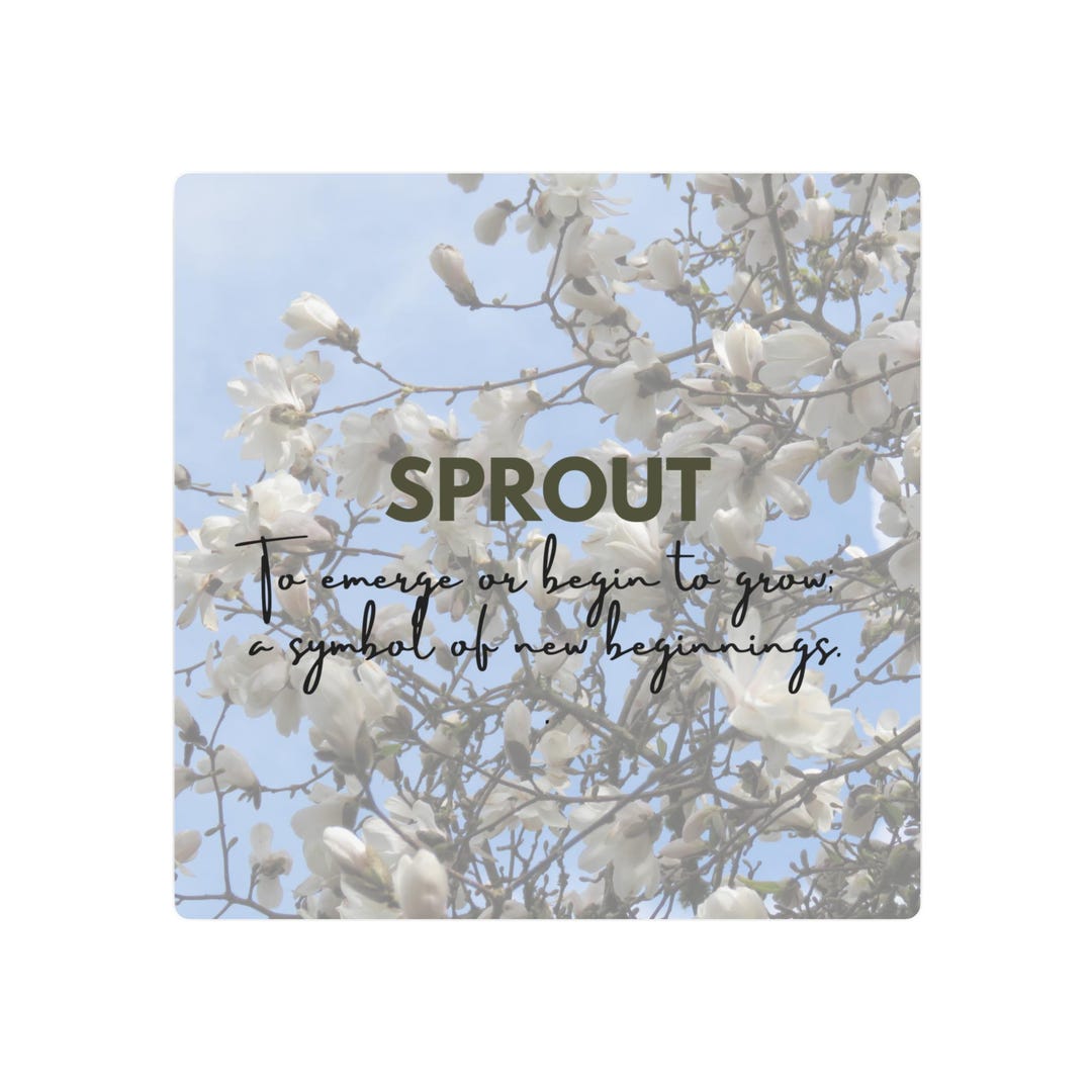 SPROUT Beautiful and Unique Home Decor Gorgeous Spring Paper White ...