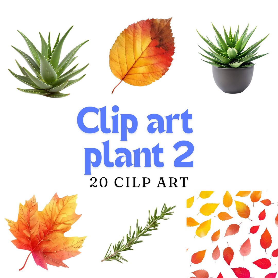 20 PNG Plants Art Clipart Bundle Plants Art Clipart Bundle Clipart ...