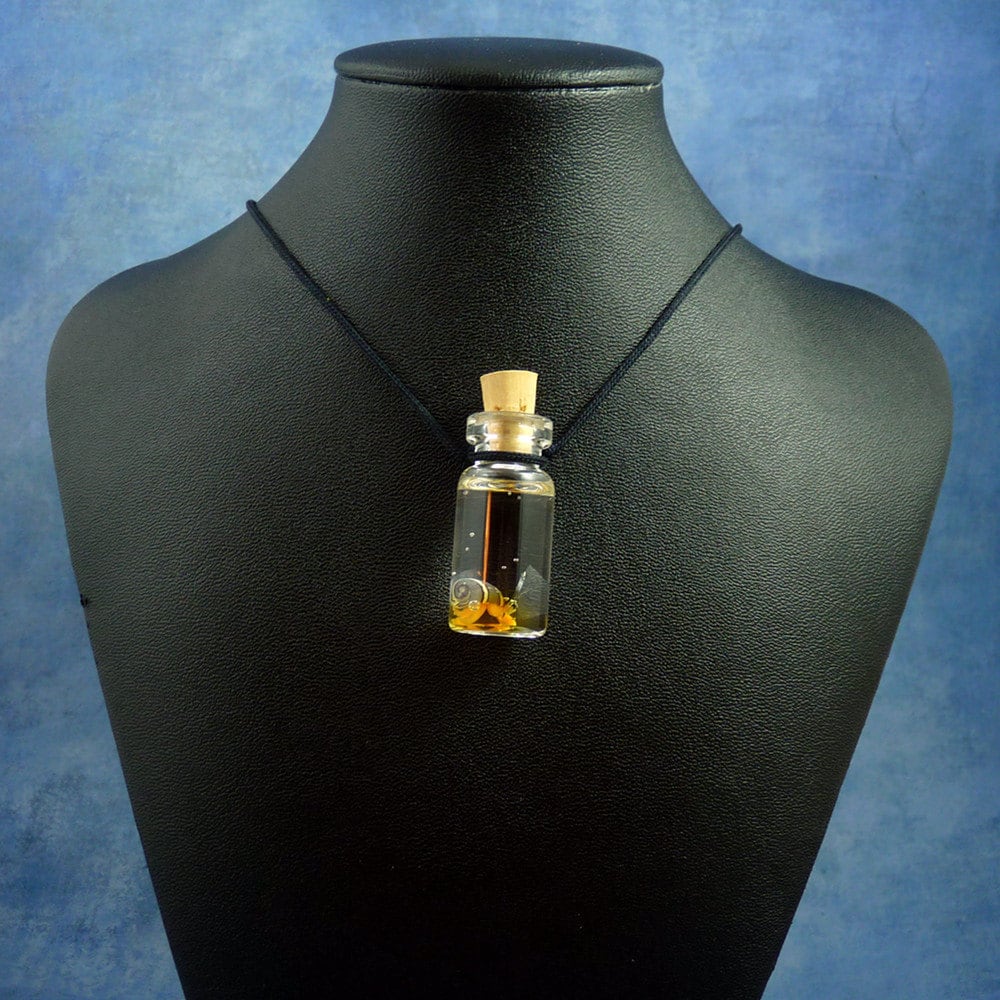 Hermit Crab Specimen Jar Necklace, Handmade Science Jewelry - Etsy