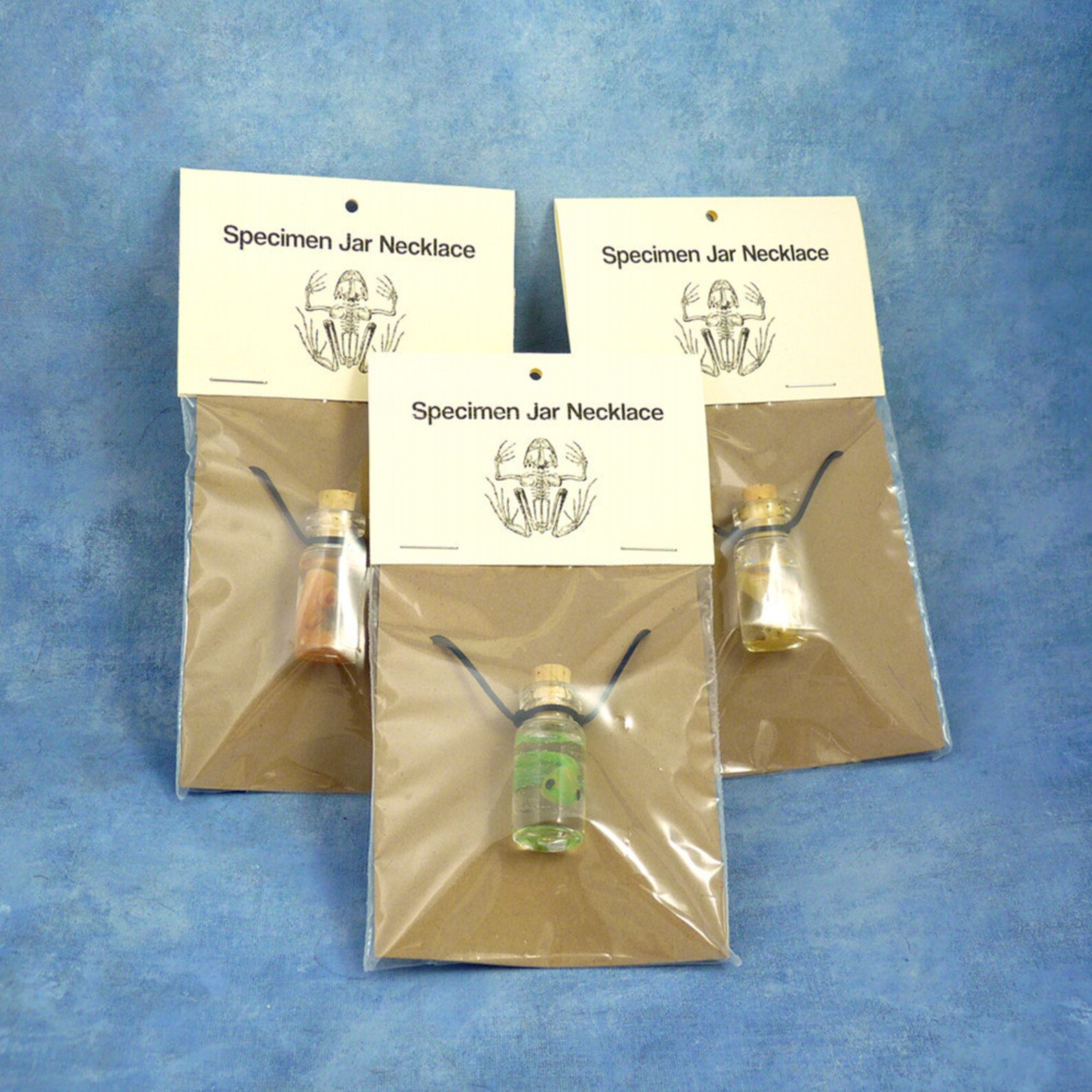 Hermit Crab Specimen Jar Necklace, Handmade Science Jewelry - Etsy