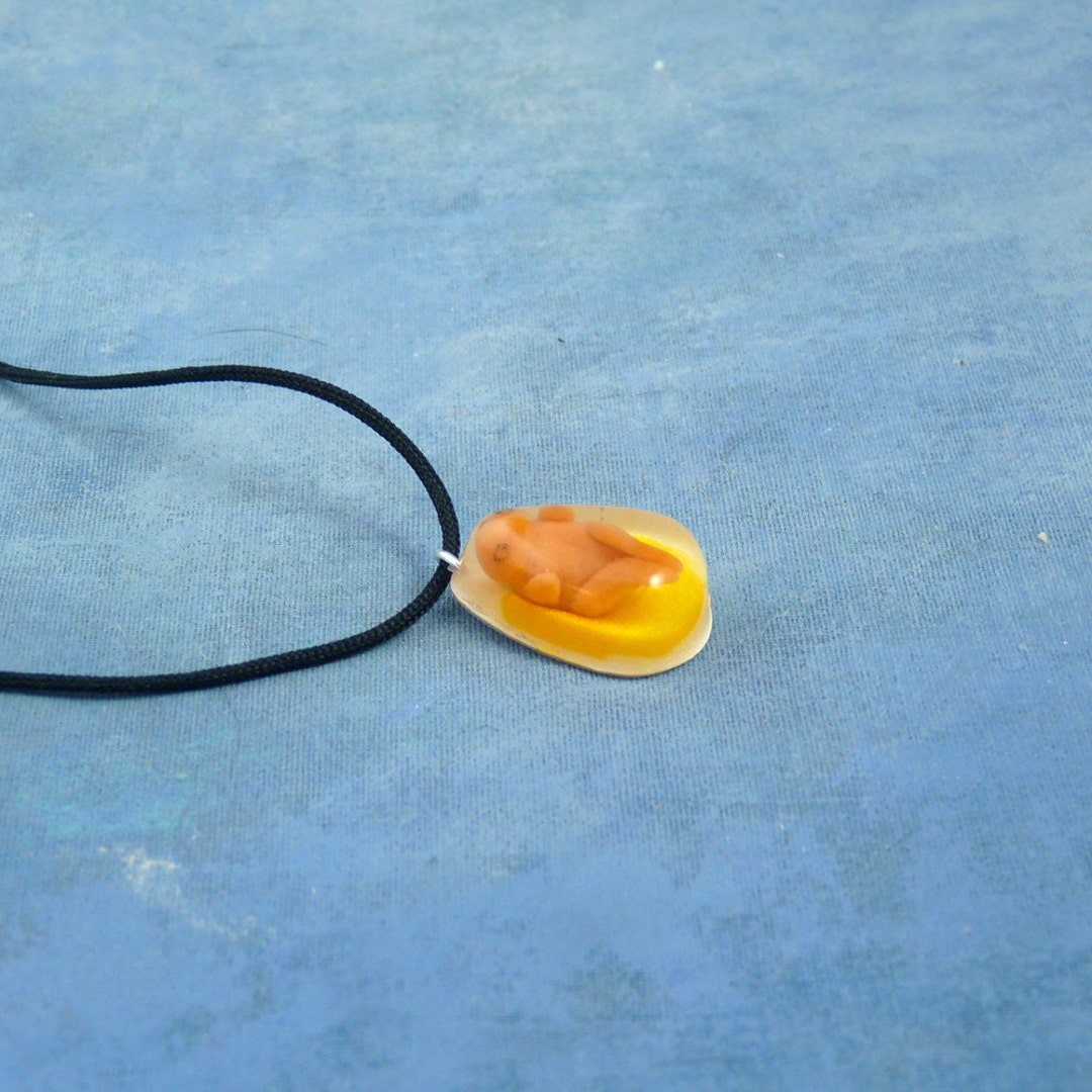 Encapsulated Bird Embryo Specimen Egg Necklace, Handmade Jewelry - Etsy