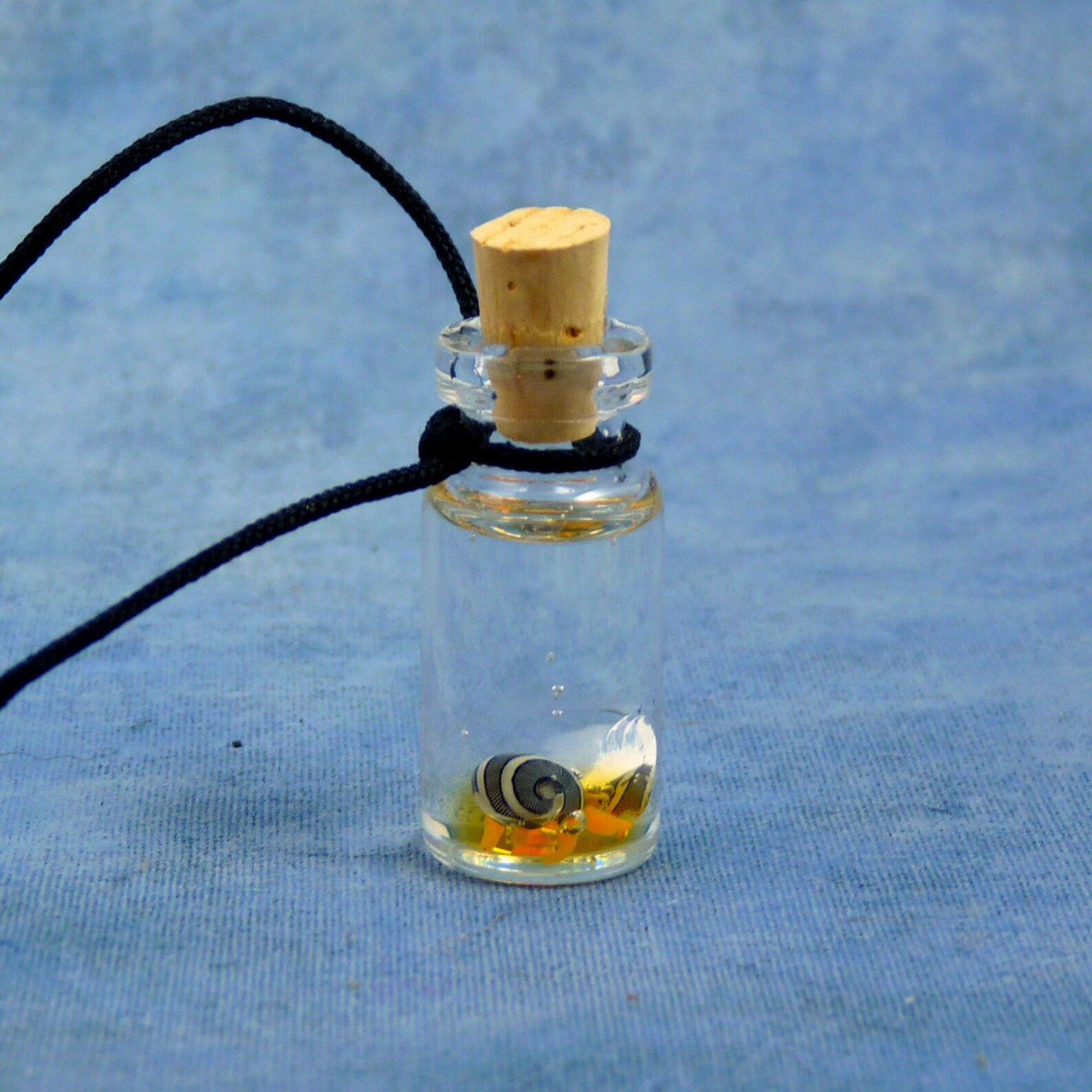 Hermit Crab Specimen Jar Necklace, Handmade Science Jewelry - Etsy