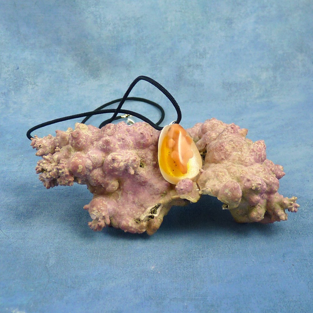 Encapsulated Bird Embryo Specimen Egg Necklace, Handmade Jewelry - Etsy