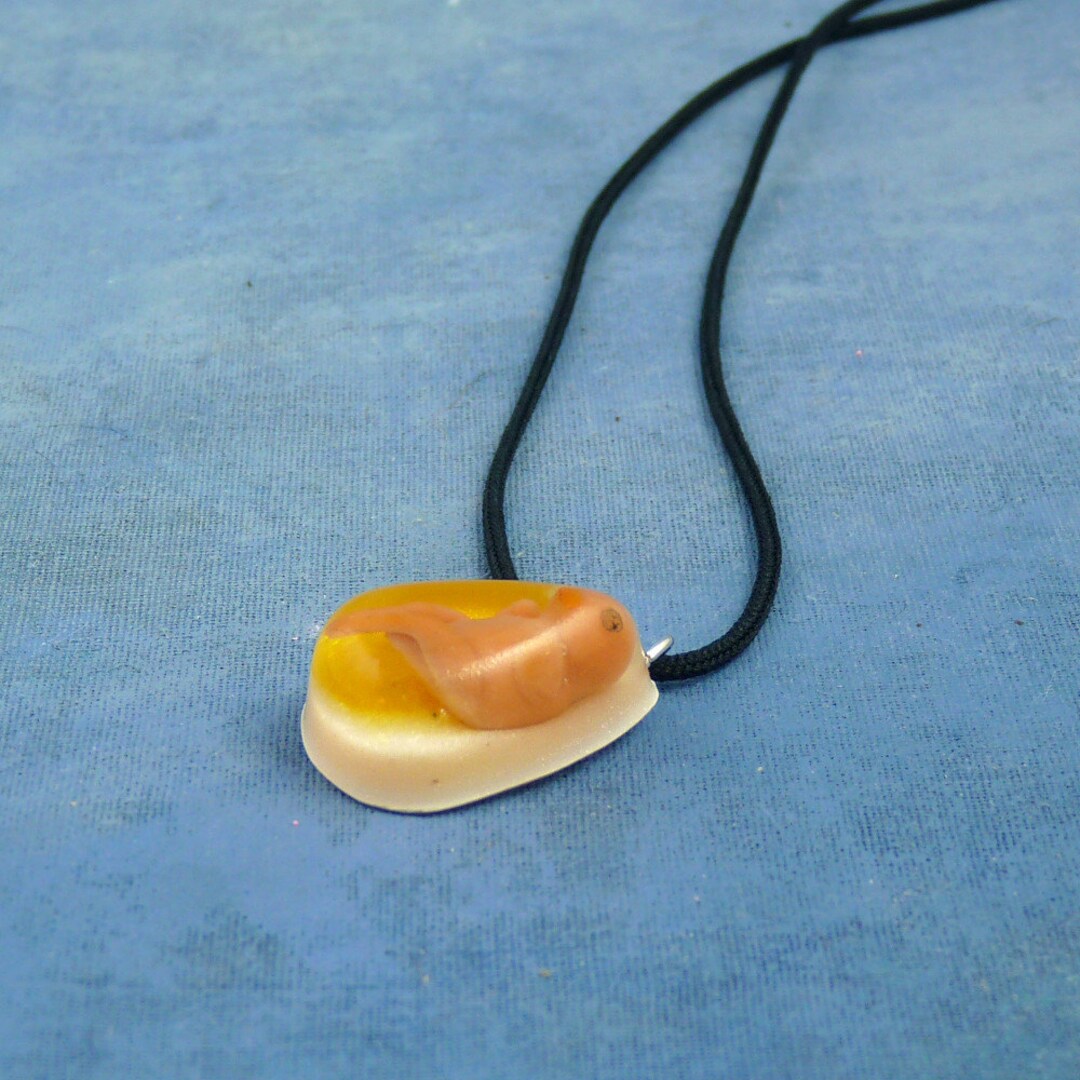 Encapsulated Bird Embryo Specimen Egg Necklace, Handmade Jewelry - Etsy