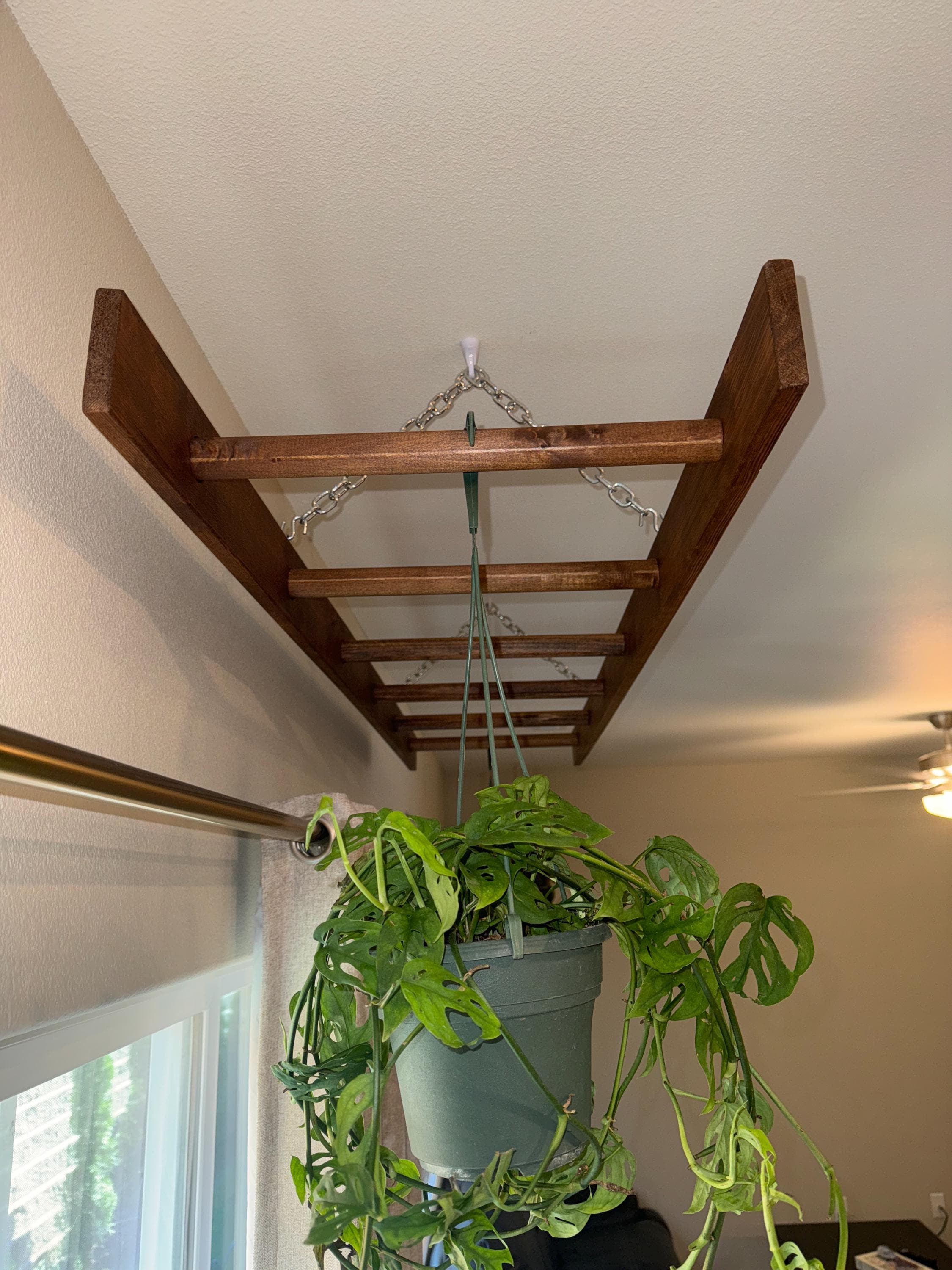 Wooden Ladder Ceiling Plant Hanger - Etsy