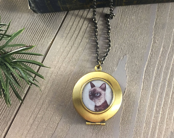 Cat Locket Theo the Siamese Cat Painting Cat Jewelry - Etsy