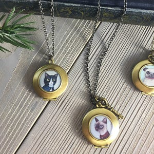 Cat Locket - Theo the Siamese Cat Painting, Cat Jewelry Necklace ...