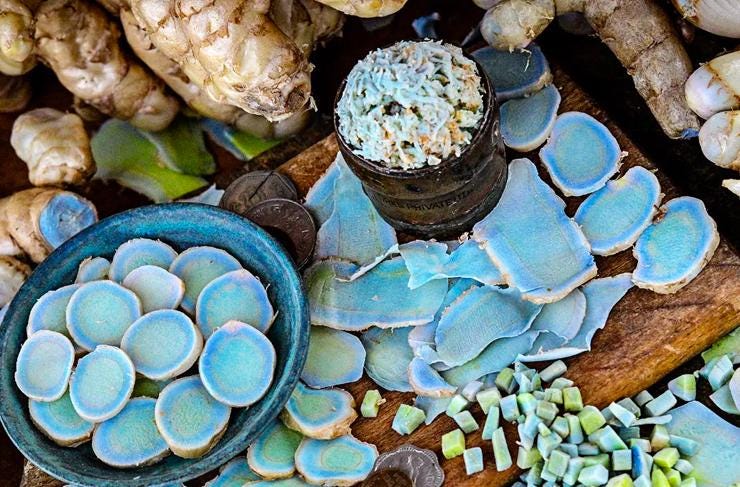 Blue Turmeric (curcuma Caesia) - Etsy