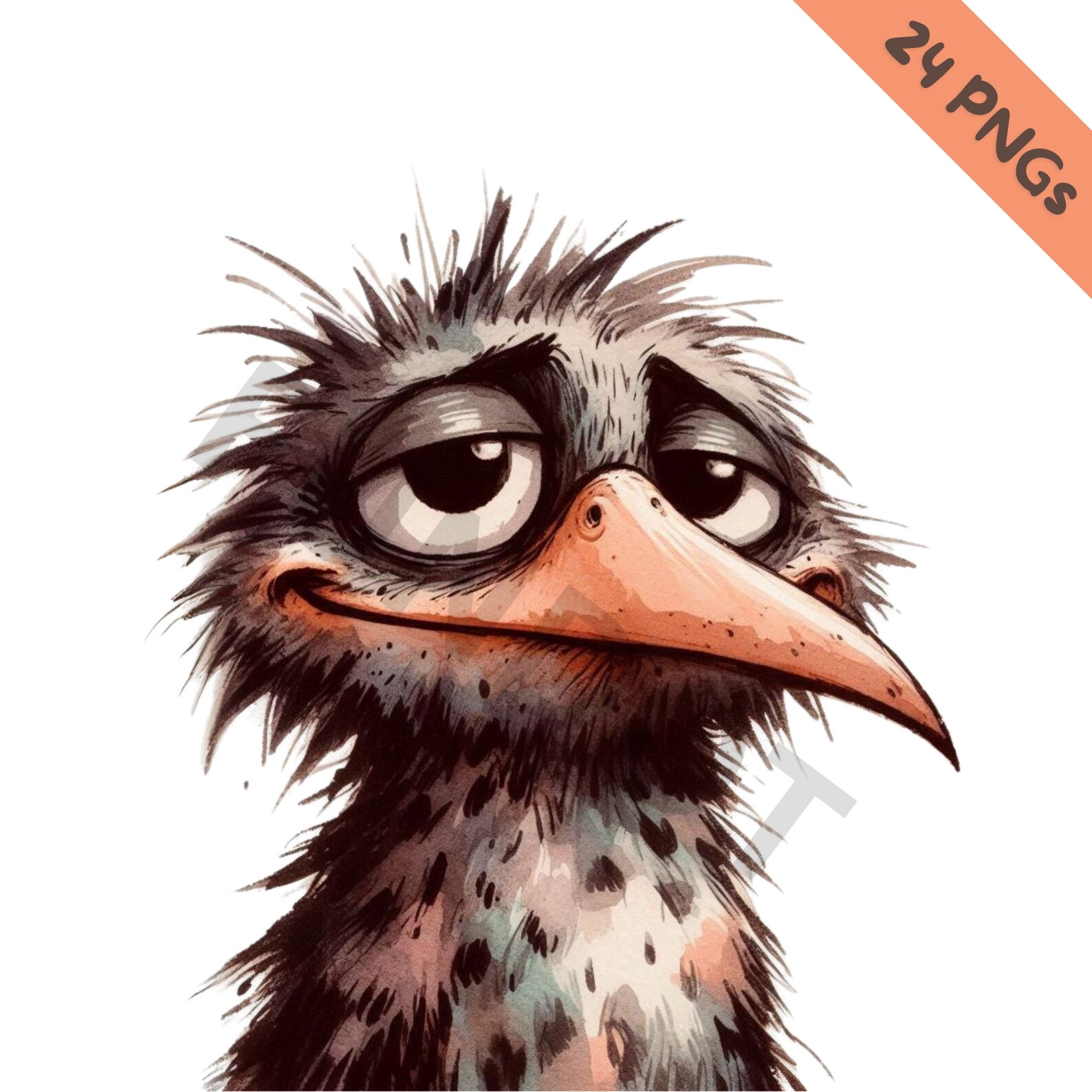 Quirky Bird Faces Clipart PNG Bundle - 24 Watercolor Cute Funny & Crazy ...