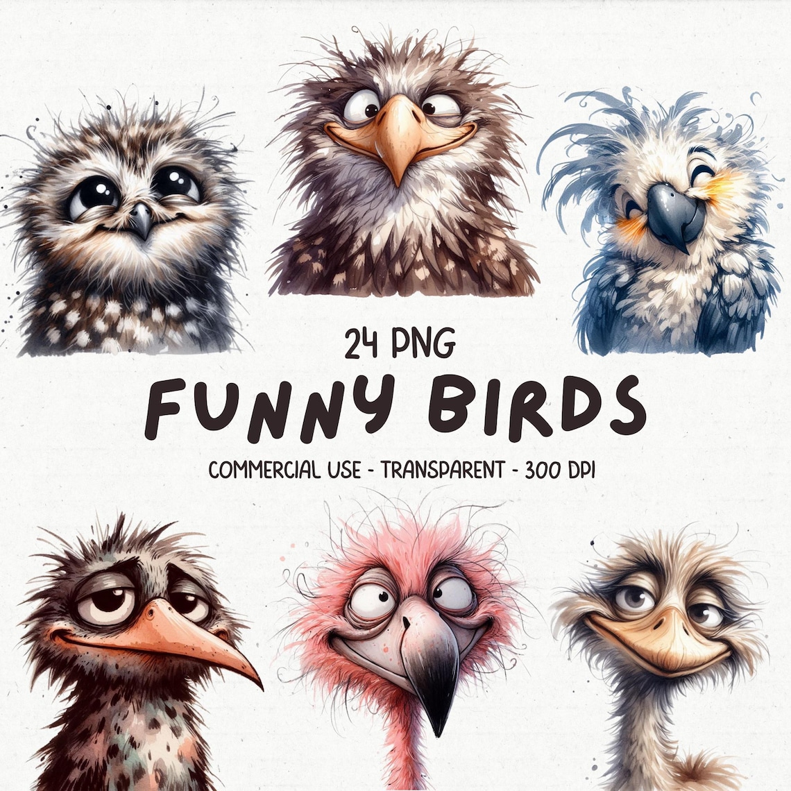 Schrulliges Vogel-Gesichter ClipArt PNG Bundle - 24 Aquarell süße ...