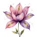 Pink Purple Watercolor Flower Clipart: Boho Floral PNG (digital ...