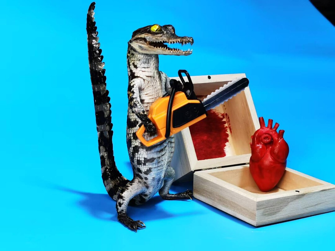 Chainsaw Crocodile Taxidermy – Horror-themed Croc With Bloodstained Box ...