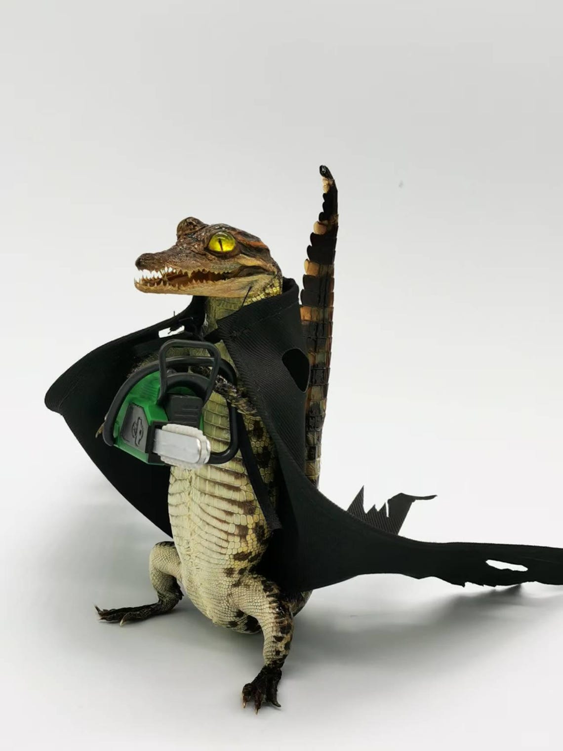 Whimsical Alligator Decor With Cape – Creative Display for Oddities ...
