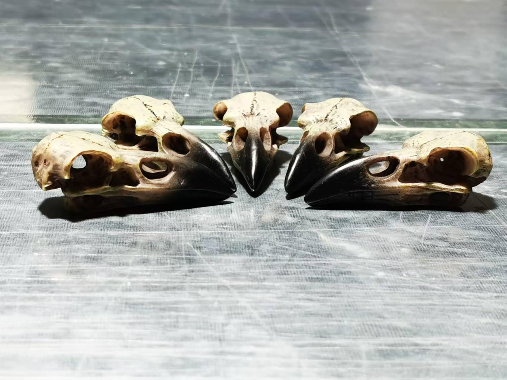 Resin Crow Skull | Gothic Desk Decor | Nature-inspired Art | Unique ...