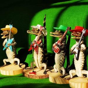 Rocking Baby Alligator Decor With Guitars – Colorful Cowboy Hats and ...