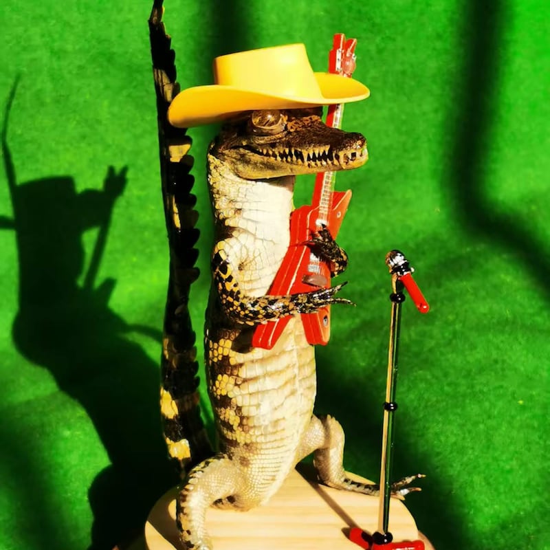 Funny Bug Oddities - Etsy