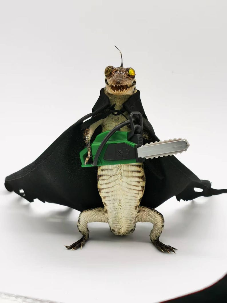 Whimsical Alligator Decor With Cape – Creative Display for Oddities ...