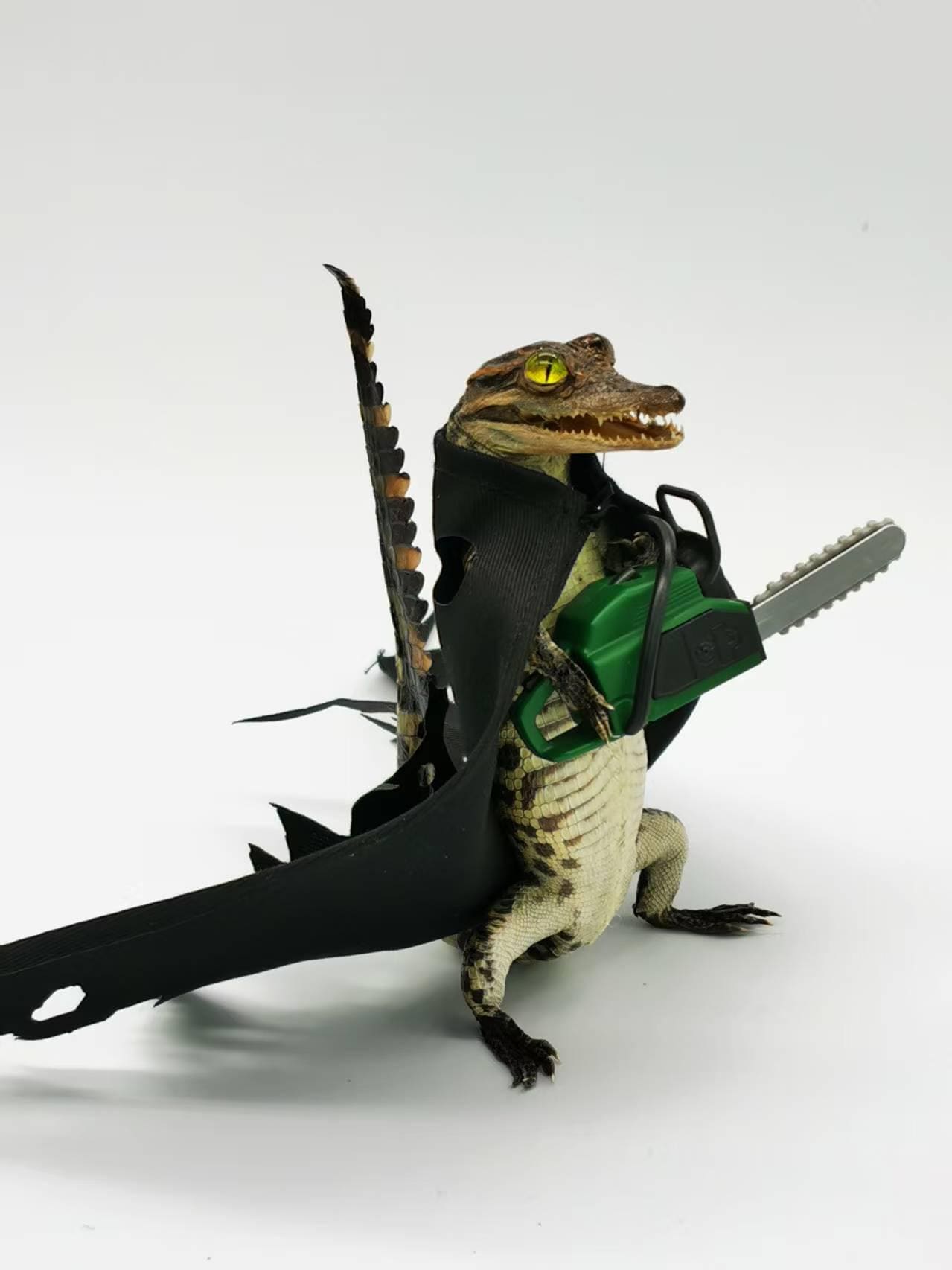 Whimsical Alligator Decor With Cape – Creative Display for Oddities ...