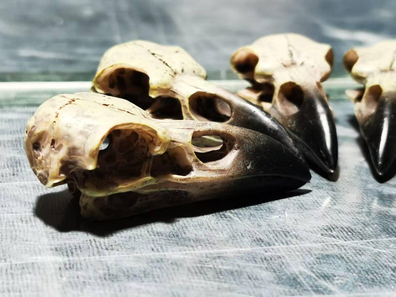 Resin Crow Skull | Gothic Desk Decor | Nature-inspired Art | Unique ...