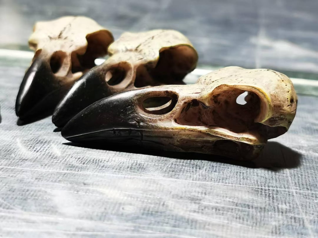 Resin Crow Skull | Gothic Desk Decor | Nature-inspired Art | Unique ...