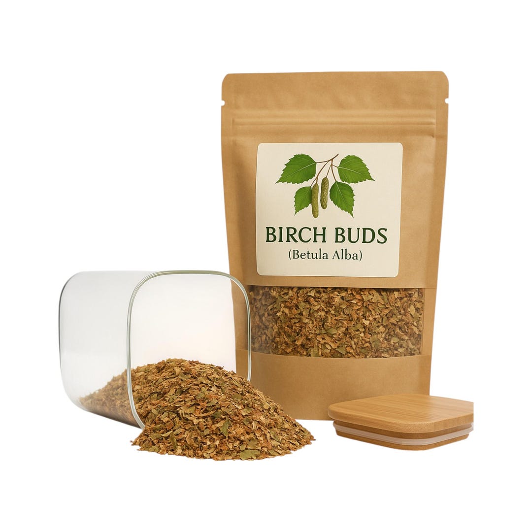 Birch Buds | Betulae Pendula| Herbal | Loose | Herb | Fresh Harvested ...