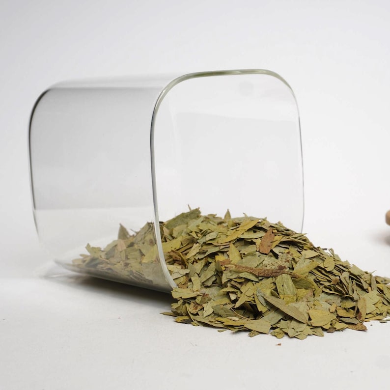 Senna Leaf | Senna Leaves | Senna Tea | Senna Alexandrina | Hojas De ...