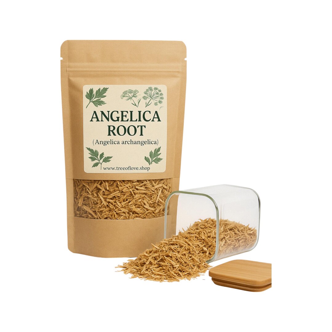 Angelica Root | Radix Archangelicae| Herbal | Loose | Herb | Fresh ...