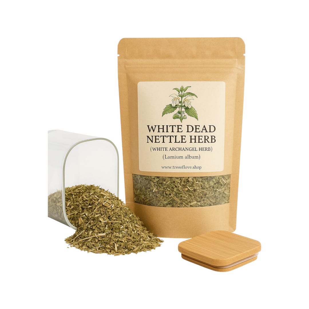 White Nettle Herb | White Dead Nettle | White Archangel Herb | Lamium ...