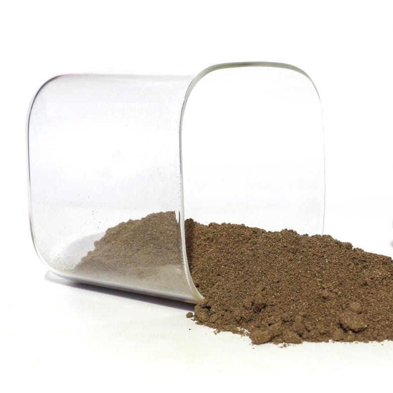 Chaste Tree Berry Powder or Whole | Chaste Tree Berries Powder | Vitex ...