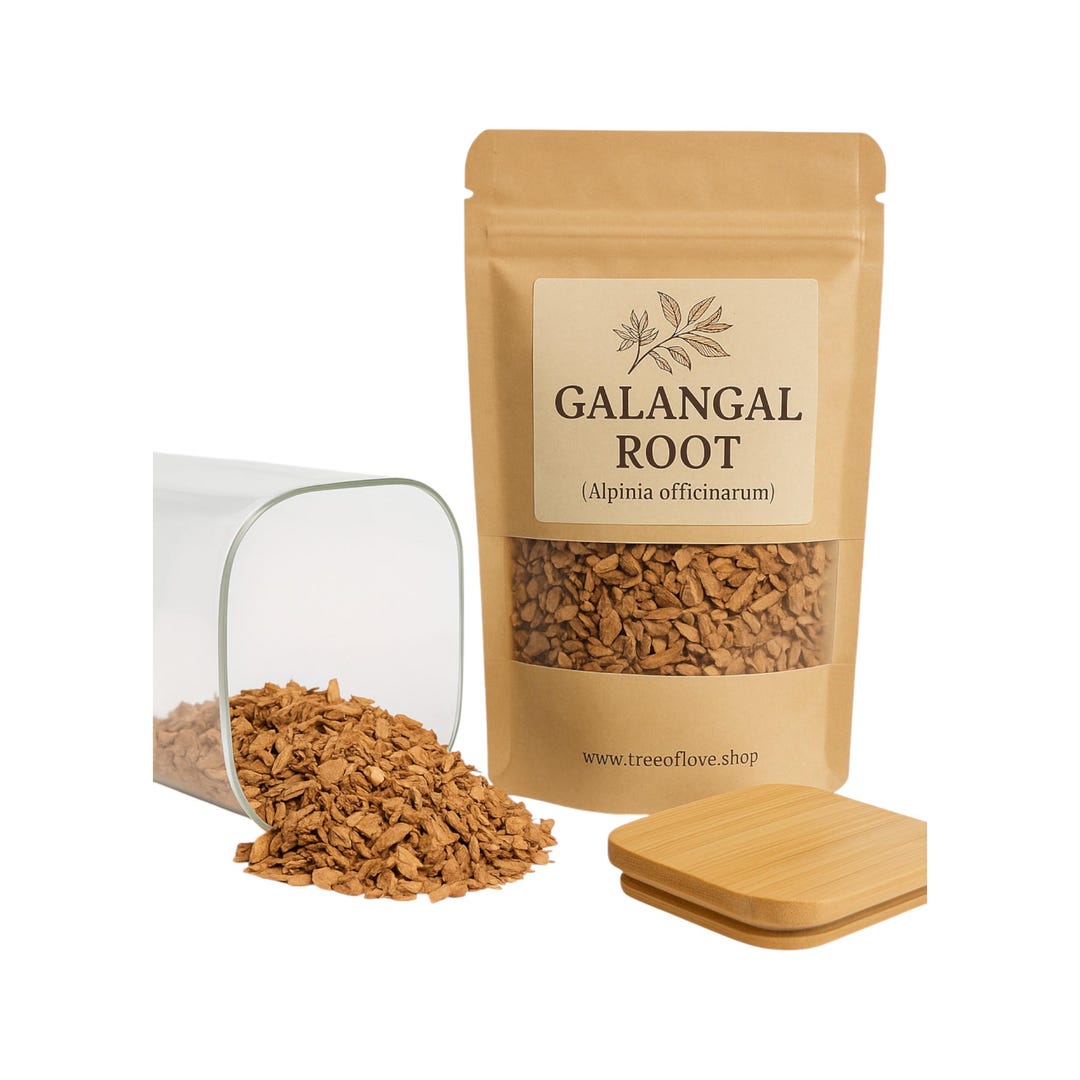 Galangal Root | Alpinia Officinarum| Herbal | Loose | Herb | Fresh ...